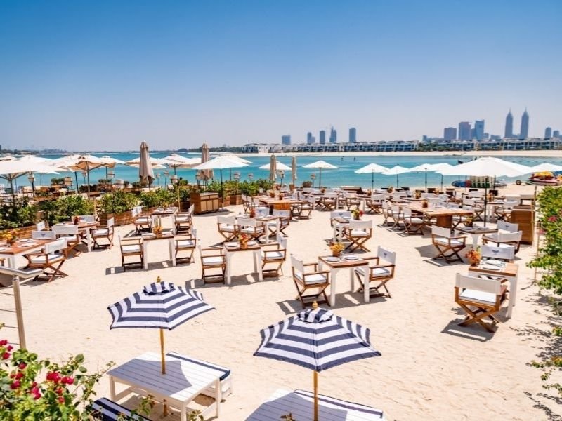 Opa! Greek Restaurant & Bar - Everywhere Digest