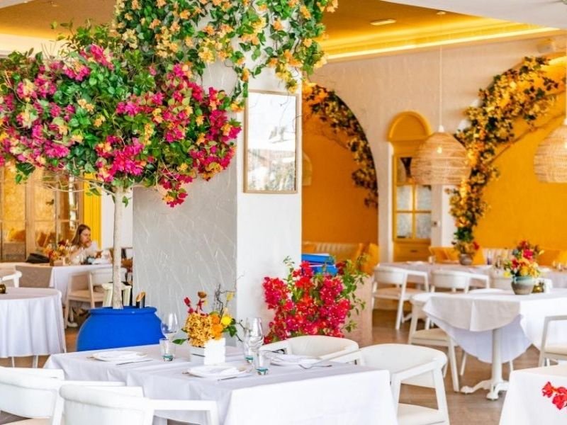 Opa! Greek Restaurant & Bar - Everywhere Digest